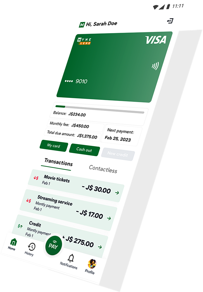 Myne Lend - MYNE LEND Jamaica Limited